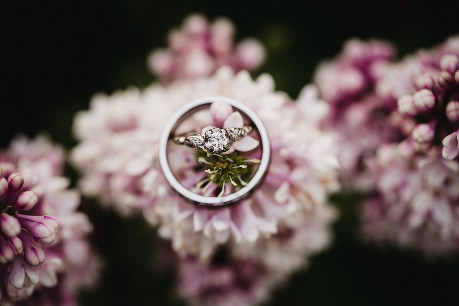 Longmere Lake Wedding | Soldotna Alaska Wedding Photographer - Jamie ...
